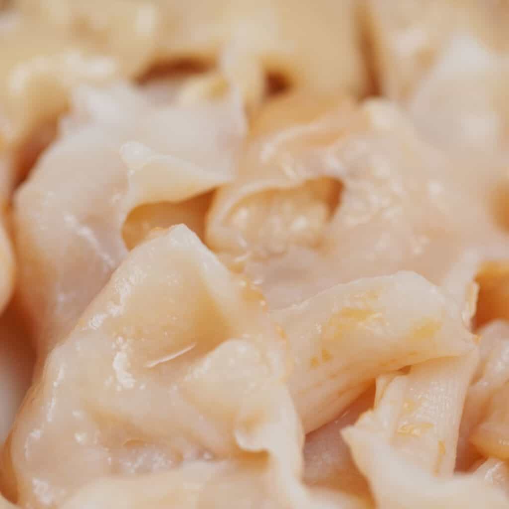 Mirugai หอยงวงช้าง - Abushi Japanese Cafe